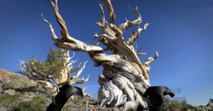 Blueplanet VR Explore - Time & History