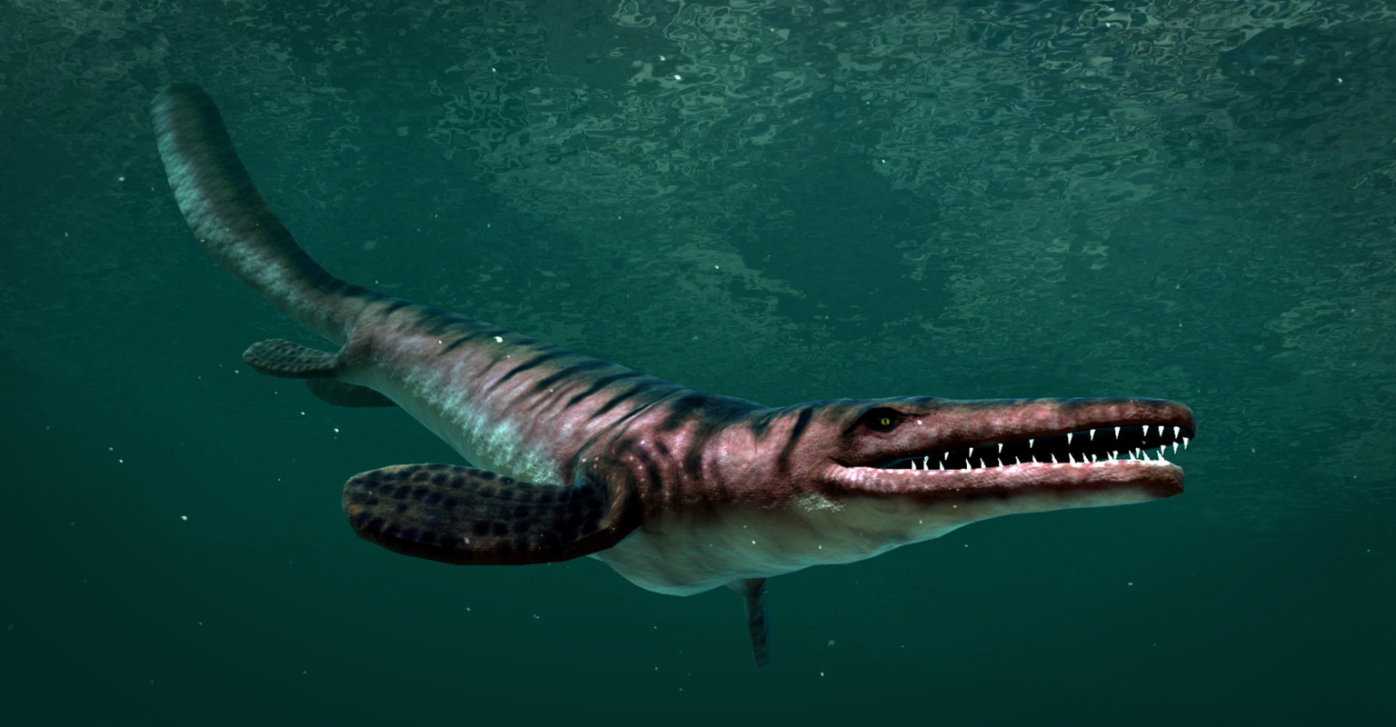 Ocean Rift - Time & History