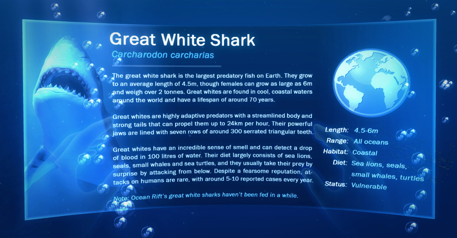 Ocean Rift - Time & History