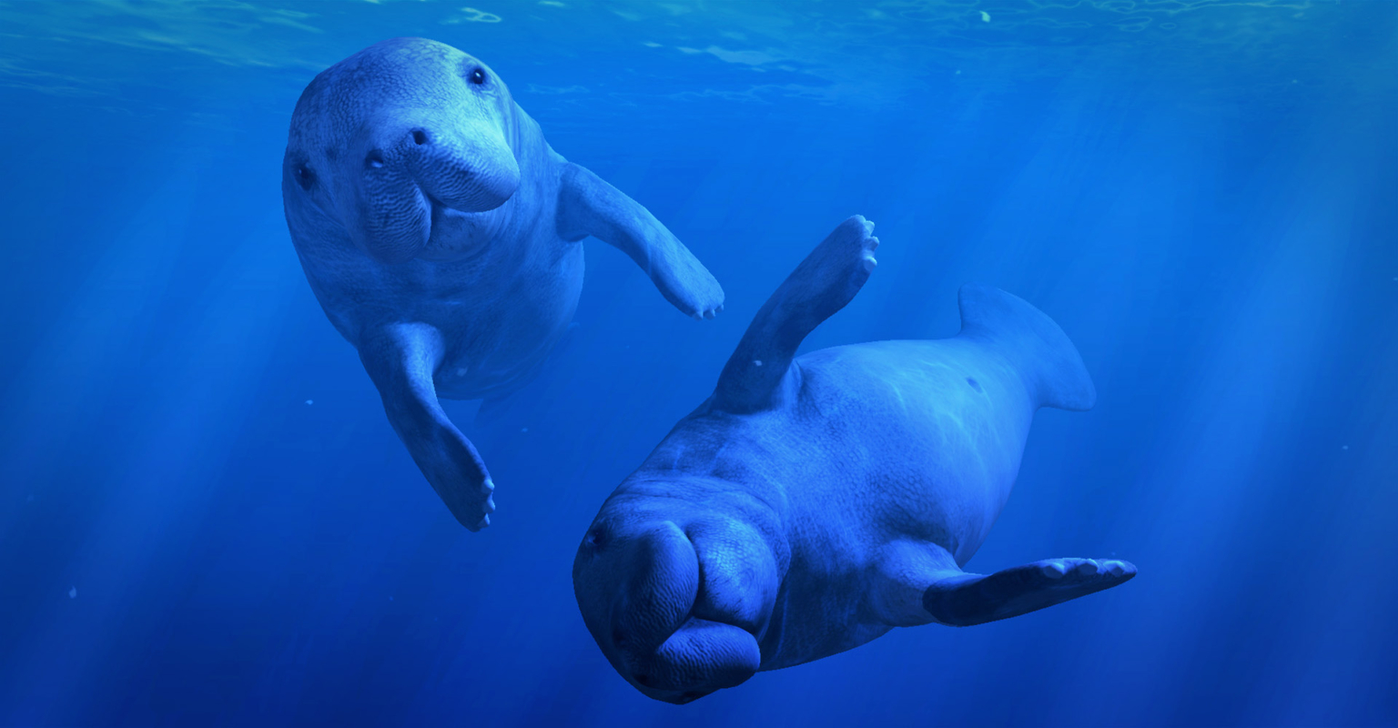 Ocean Rift - Time & History