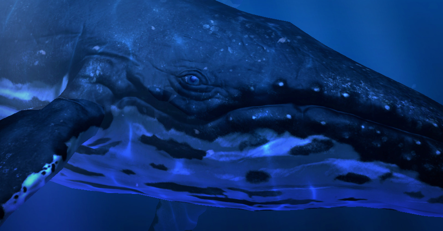 Ocean Rift - Time & History