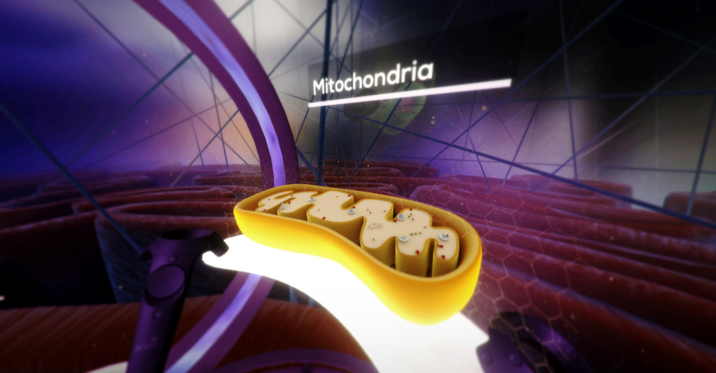 The Body VR - Journey Inside a Cell - Time & History